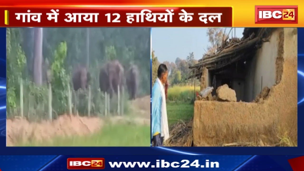 Wadrafnagar: 12 हाथियों के दल ने ग्रामीणों के 5 मकान को तोड़ा | किसानों ...