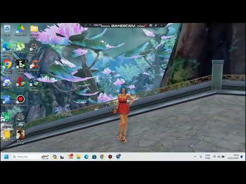aion como instalar rainmeter medidor de dps - YouTube