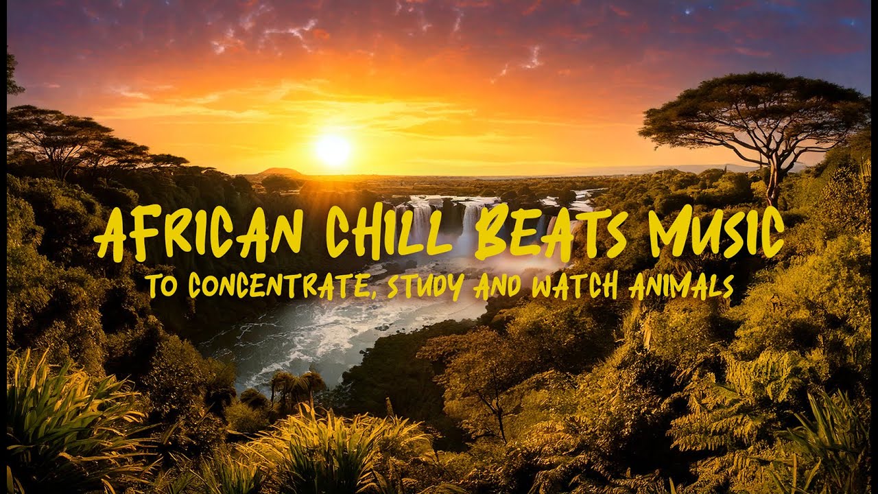 African Chill Beats Music ️ to concentrate, study and watch animals 🐆 ...