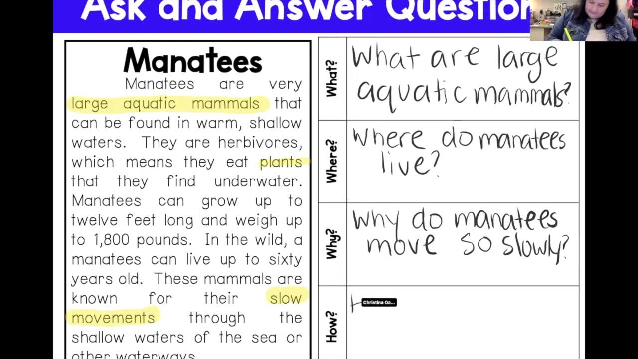 ELA Grade 2 RI.2.1 Ask and Answer Questions - YouTube