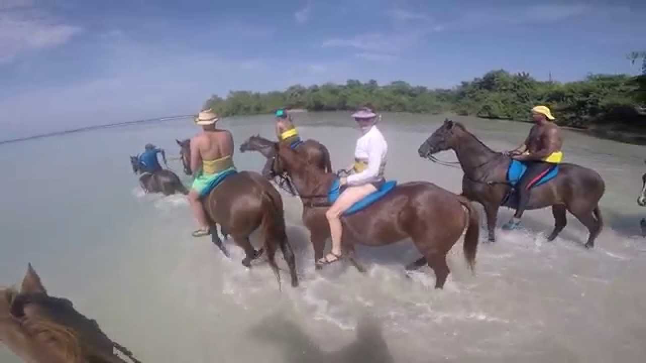 Jamaica - Riding horses in the ocean!!! 9-15-15 - YouTube