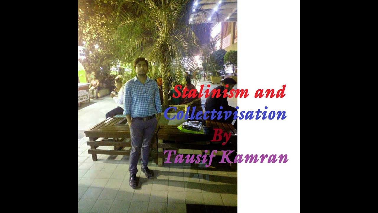 Stalinism and collectivisation I The Russian Revolution | Class 9 I ...