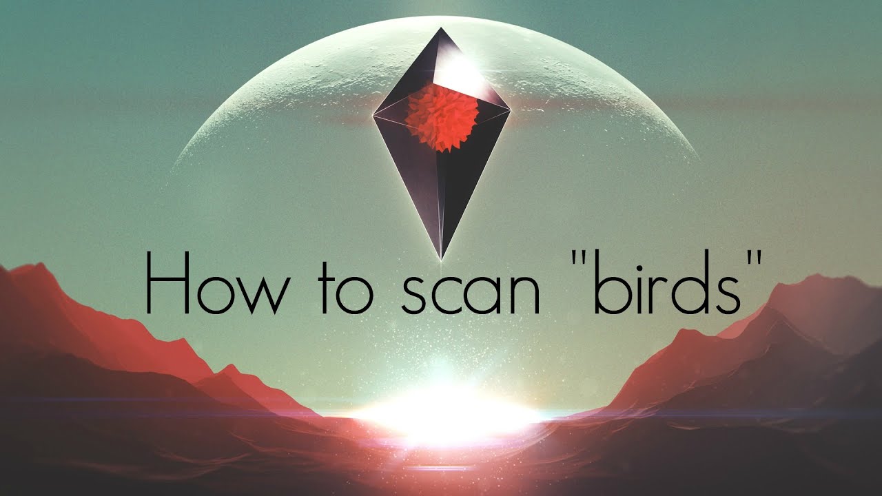 How to Scan Birds In No Man's Sky! Easy! - YouTube