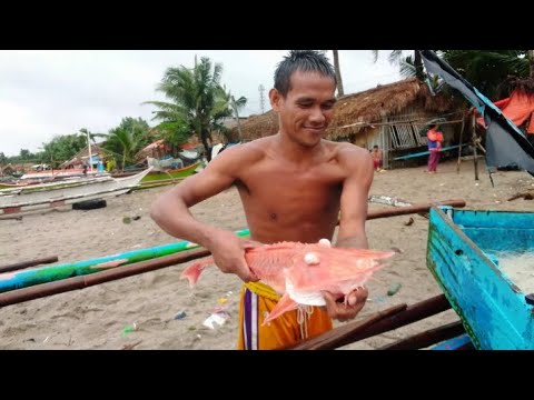 Kakaibang isda ito - YouTube