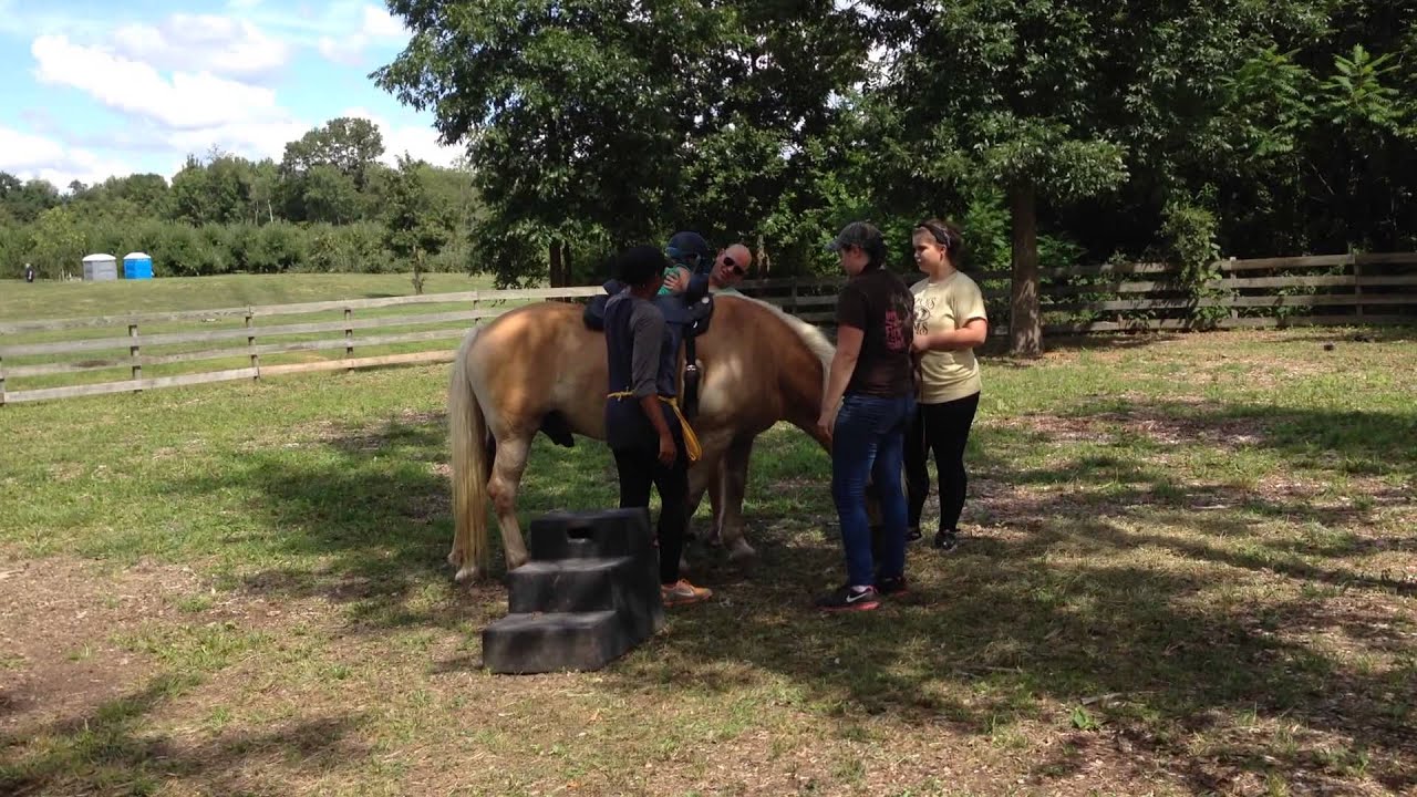 Artemis's First Pony Ride 2015 - YouTube