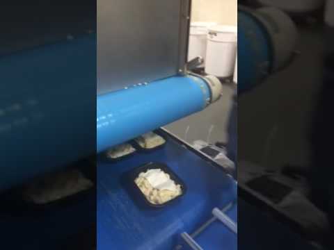 BID ON EQUIPMENT: Item 255647 - REISER VEMAG Cheese Slice Depositor 1/2 ...