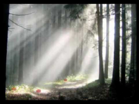 Mijo Matic - Molitvu moju poslusaj (DUHOVNA GLAZBA) - YouTube