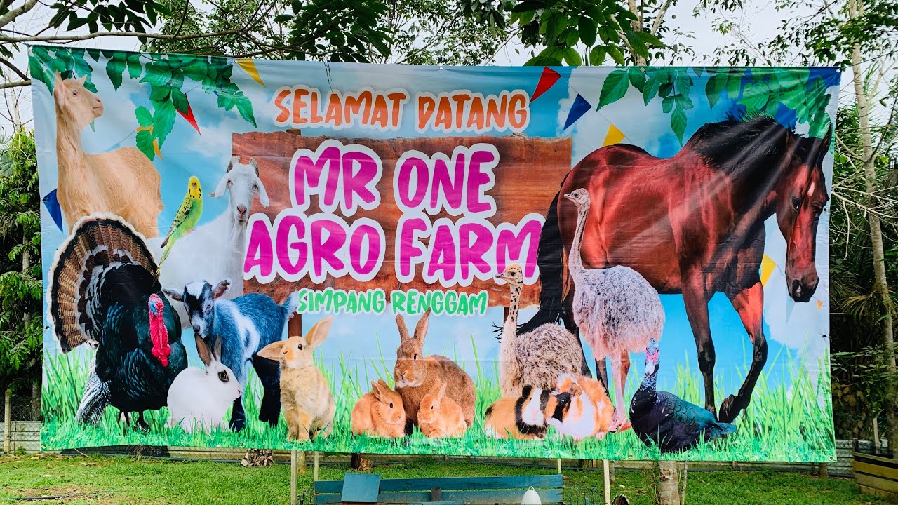 MR.ONE AGRO FARM SIMPANG RENGGAM |ADA KAMBING YANG JINAK |OKTOBER 2022 ...