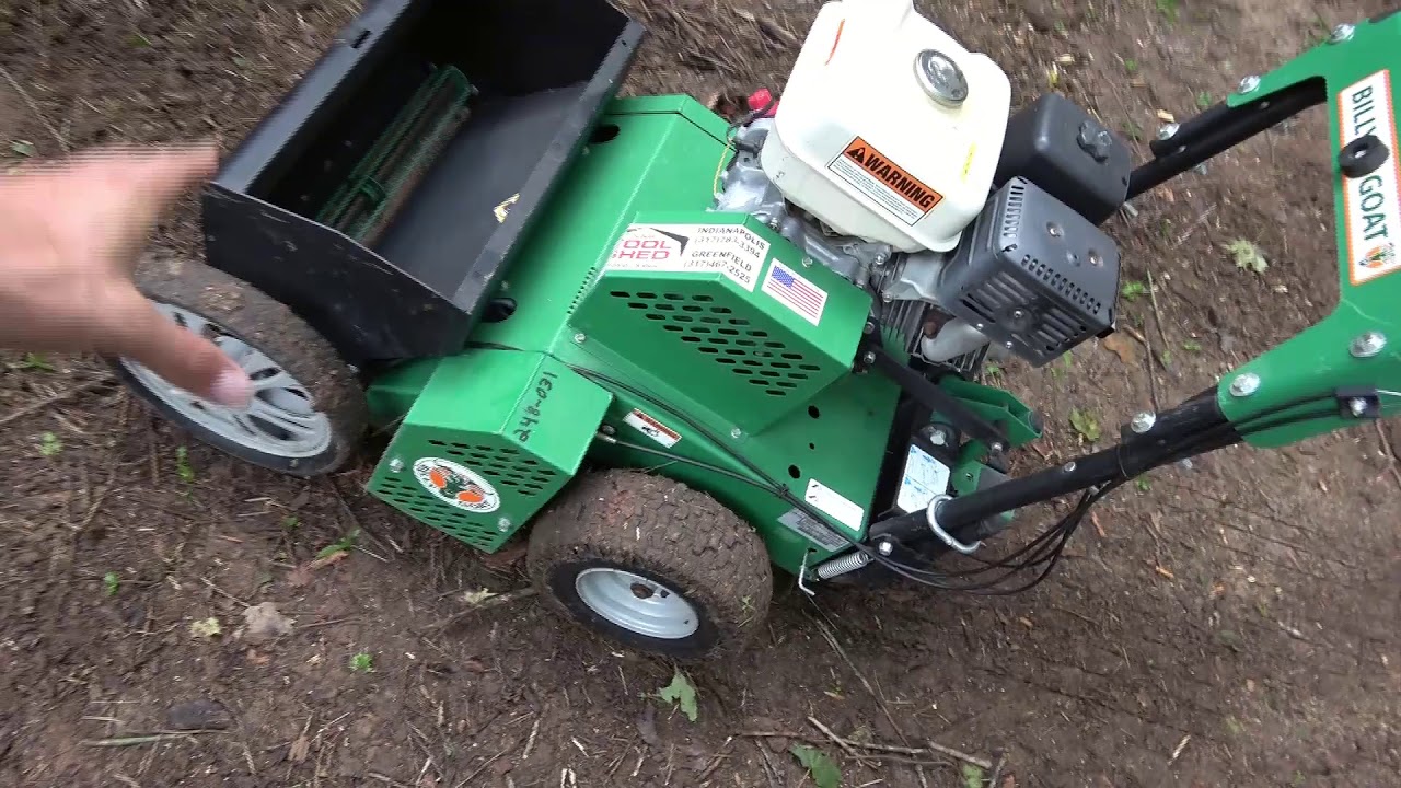 Best NO TILL Food Plot Technique! Clover/ Brassica/ Rye/ Wheat - YouTube