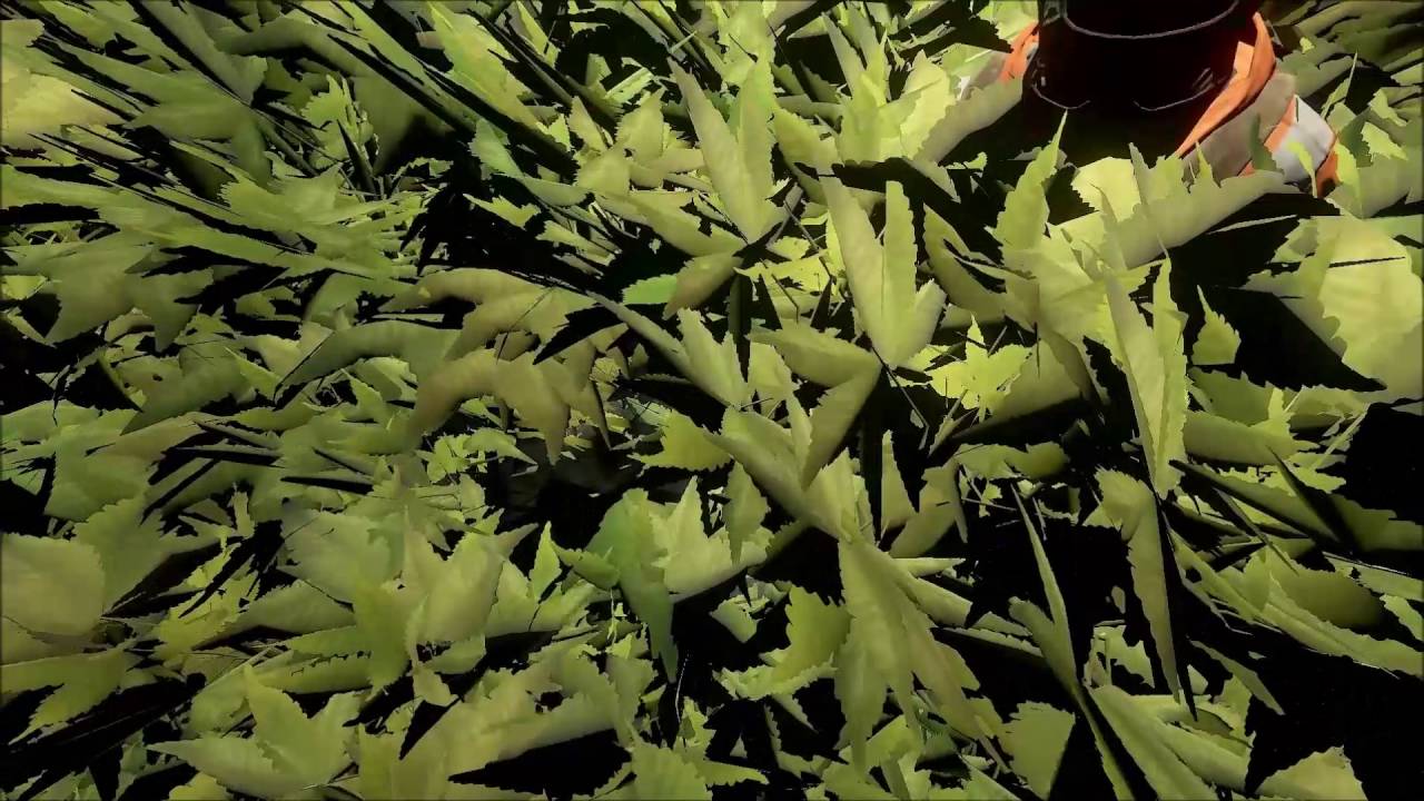 RUST! - HEMP DIVING! ( 2 DAYS INTO THE WIPE) - YouTube