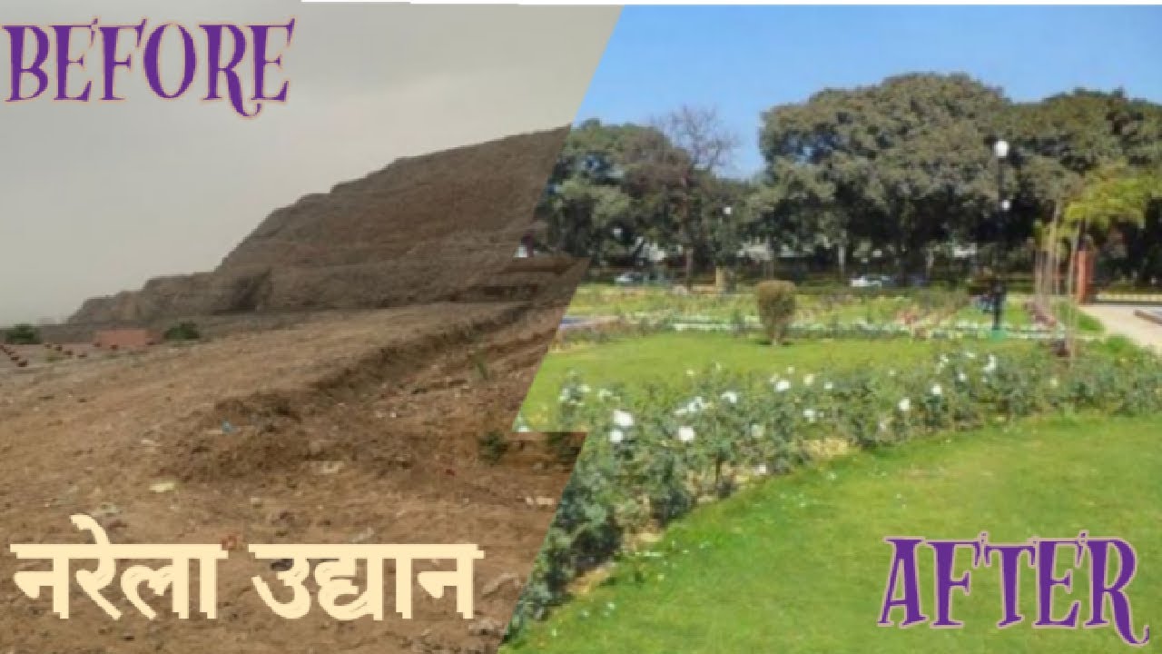 Watch How Narela's Parks are maintained || Urban Forest of Narela ...