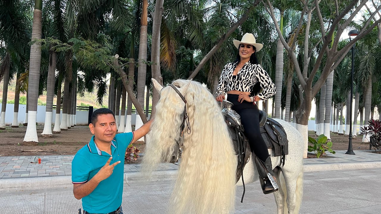 La muchacha chula de sinaloa nos invita a bailar su caballo - YouTube