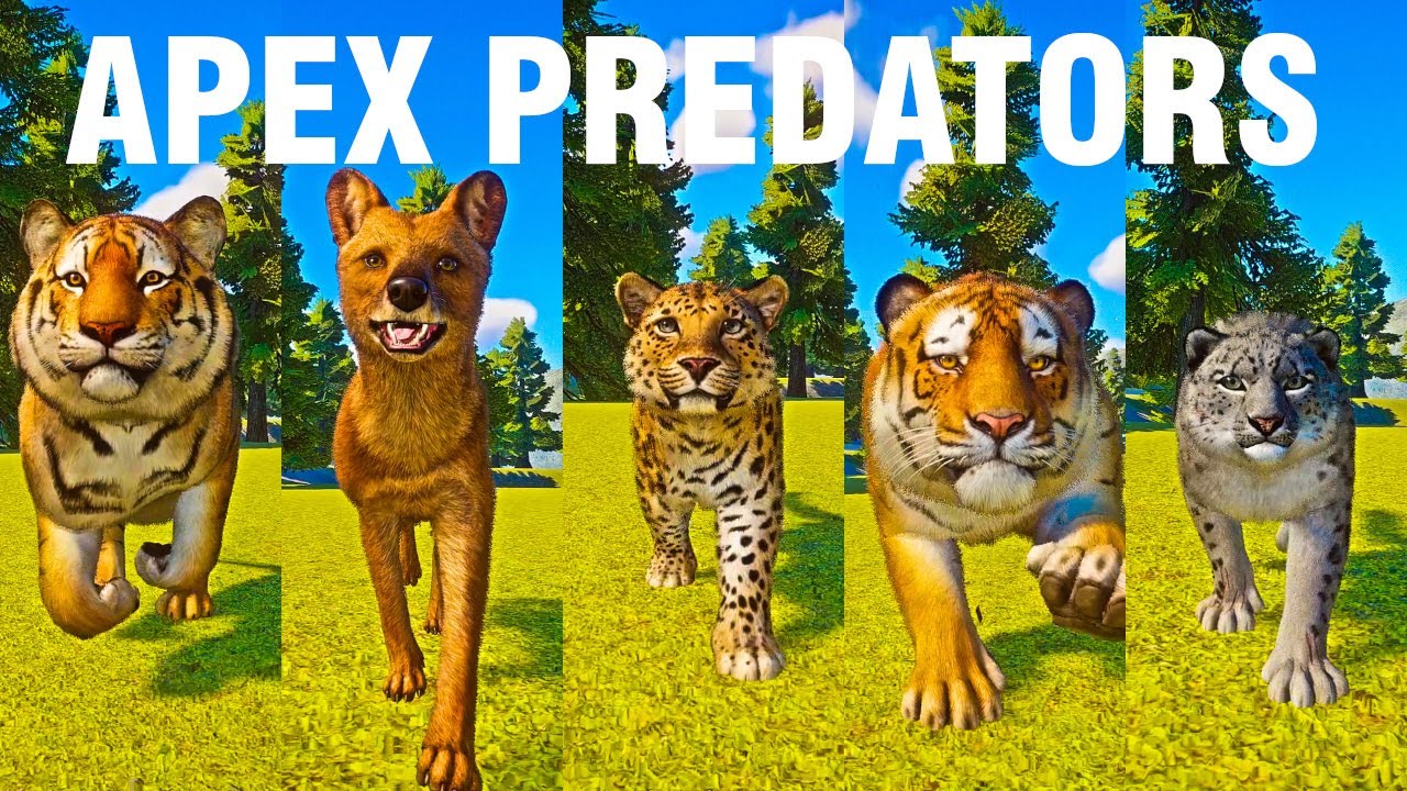 Apex Predators of Asia Speed Race in Planet Zoo INCLUDED Snow Leopard ...