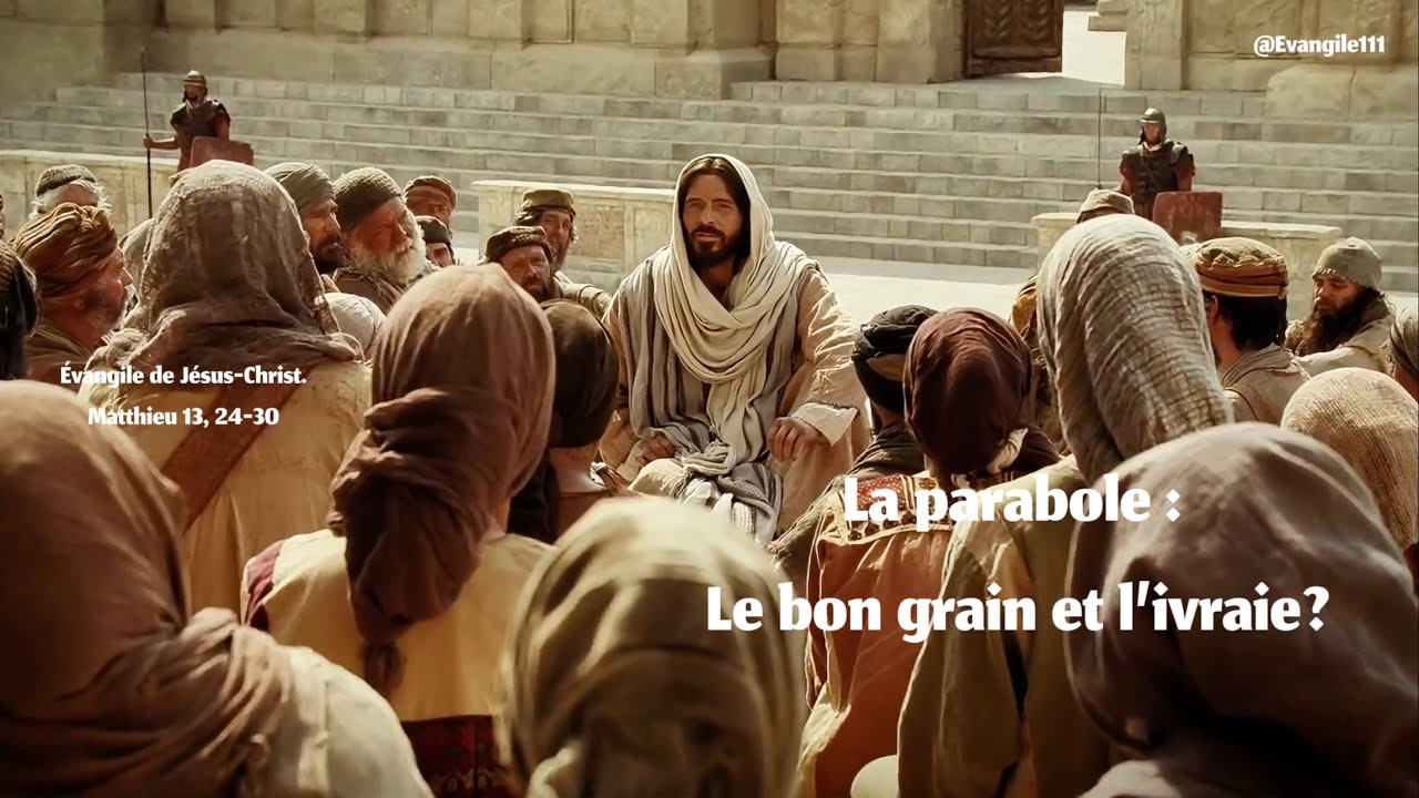 Évangile de Jésus Christ - Matthieu 13, 24-30 Bon grain et l’ivraie ...