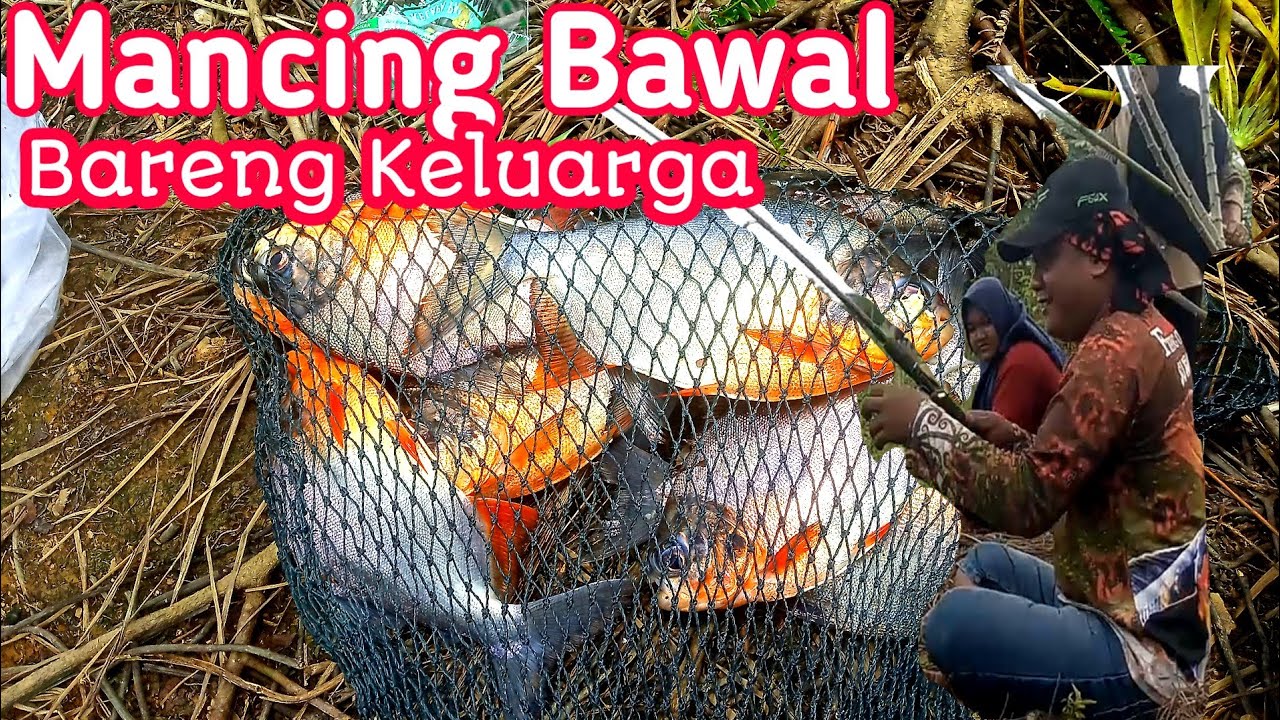 Family Fishing [ mancing bawal bareng keluarga ] - YouTube