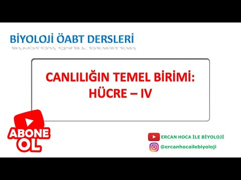 18) CANLILIĞIN TEMEL BİRİMİ HÜCRE-IV (Biyoloji ÖABT Dersleri)