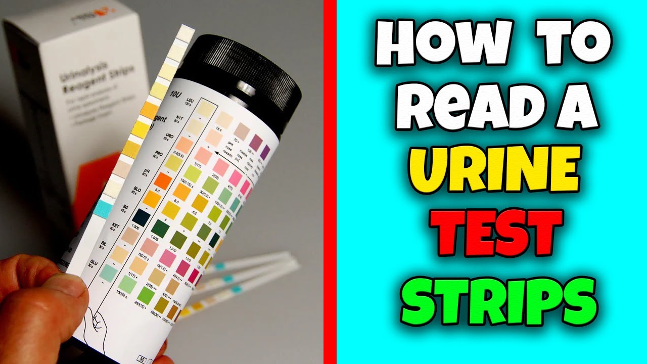 How to read Urine test strips | Health Educare - YouTube