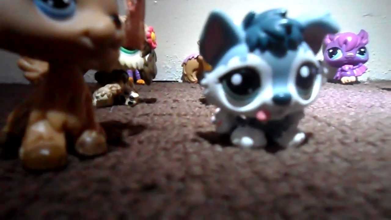 LPS - Trip to America - YouTube