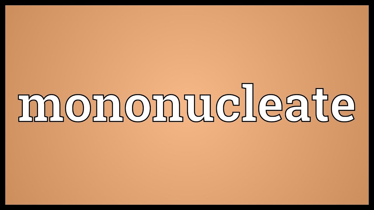 Mononucleate Meaning - YouTube
