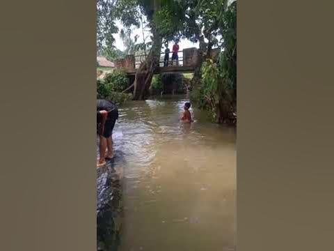 keseruan bocil mandi di kali yang sangat sejuk☺️ - YouTube
