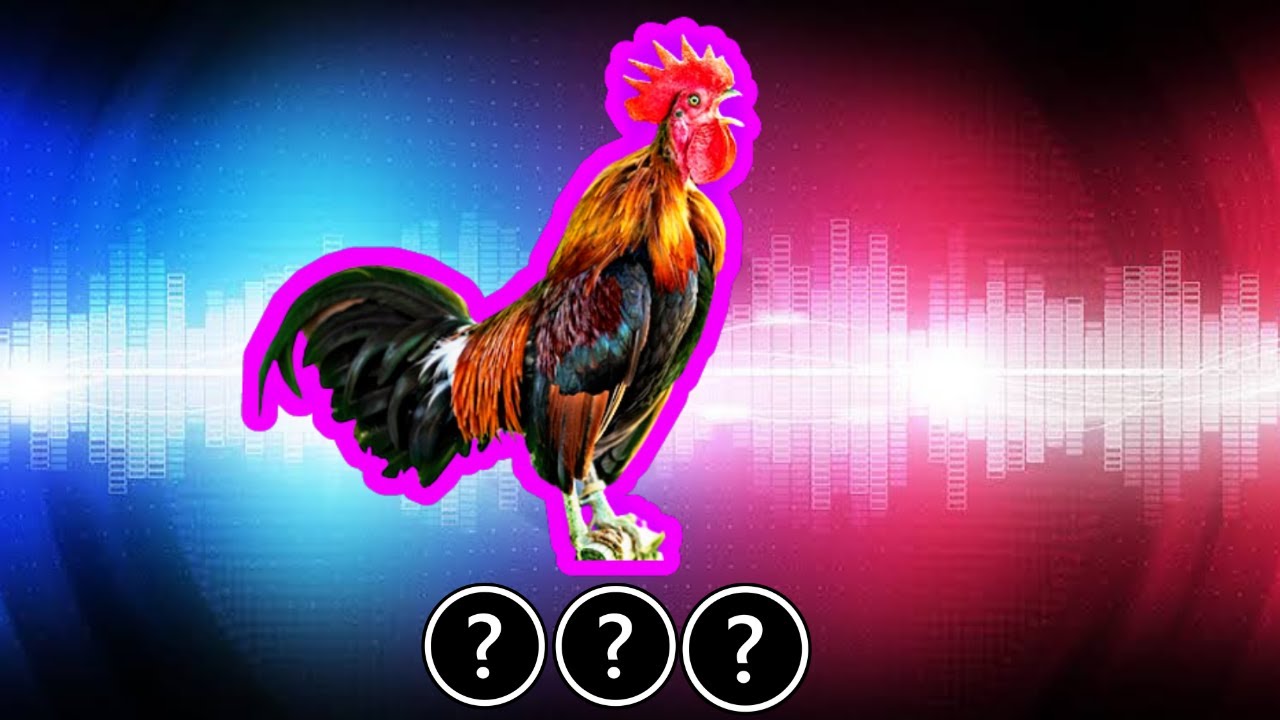 🎧💥🐓13 sound variations of rooster crowing in 60 seconds - YouTube