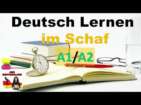 Dialoge _Deutsch lernen im Schlaf & Hören Sie Deutsch N.8 - Niveau A1 - B2/Deutsch Intensivkurs.