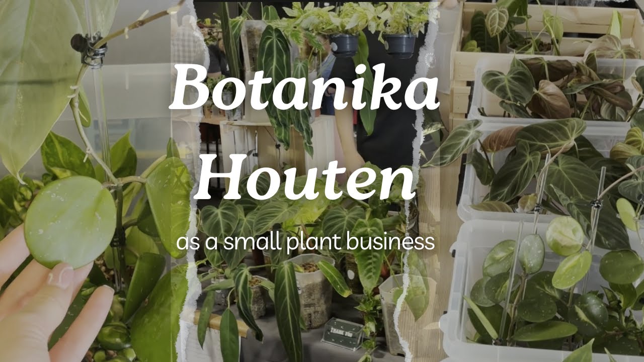 Bringing a Piece of Our Plant Shop to Botanika Houten - as small plant ...