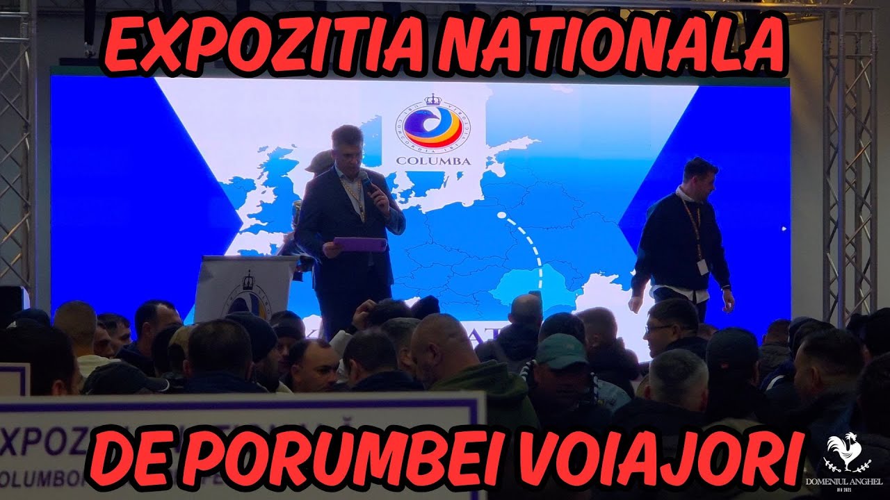 EXPOZITIA NATIONALA DE PORUMBEI VOIAJORI - YouTube