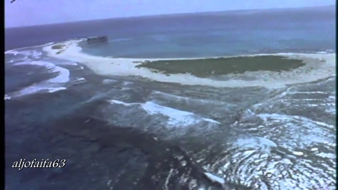 Isla de aves. - YouTube