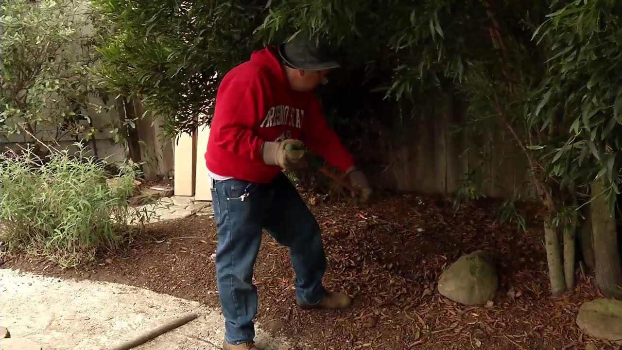 The Janet Pomeroy Center - YouTube