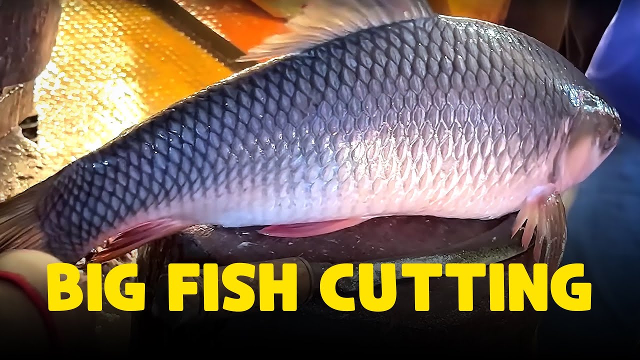 Amazing Cutting Skills | Giant Rui Fish Cutting Skills By Expert Fish ...