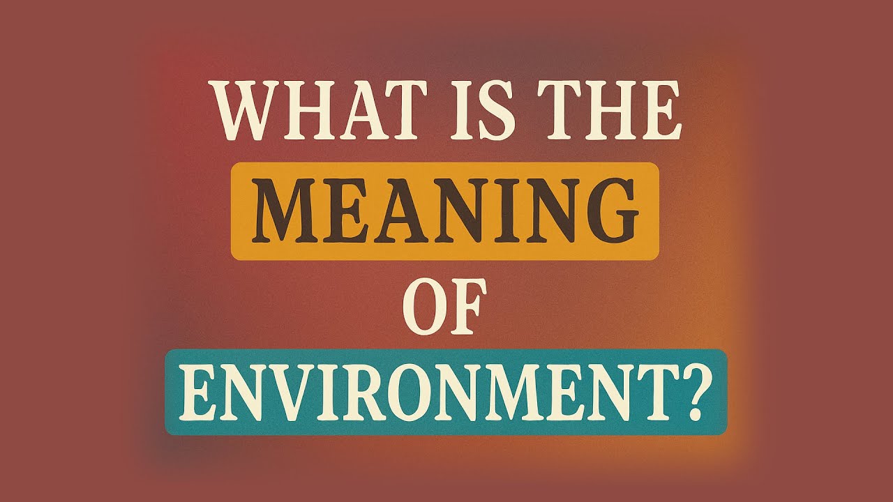 What is the meaning of Environment? - YouTube