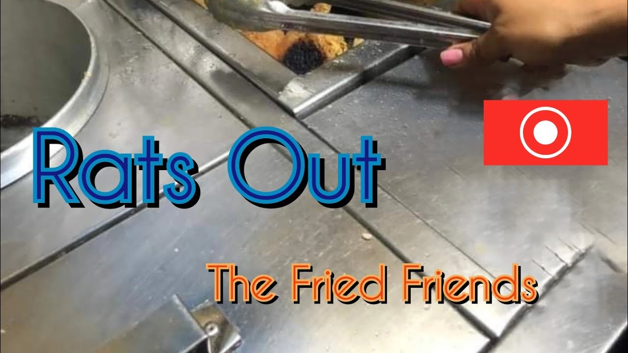 The Rats Have Discovered the Ethernet Cable - YouTube