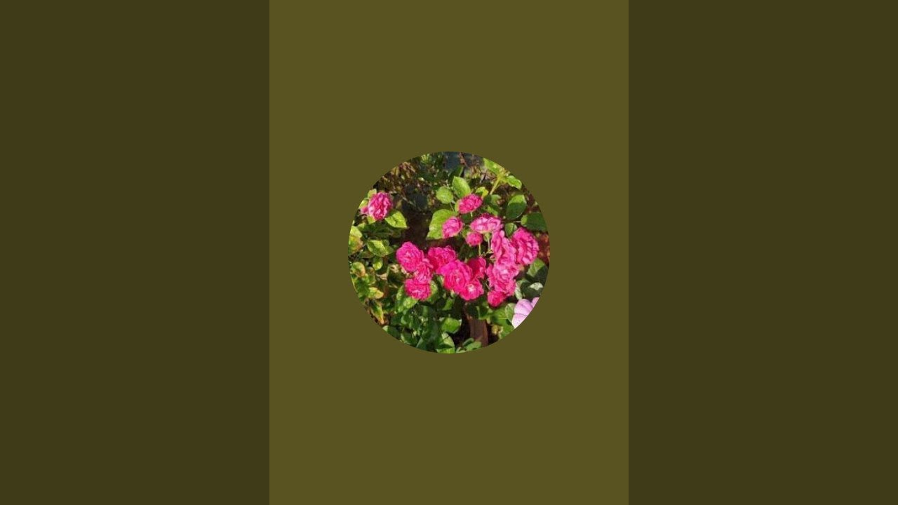 Ayyapan Bhajan Dec 8 2024 @Guru Vignesh S/O Usha Rajagopal House ...