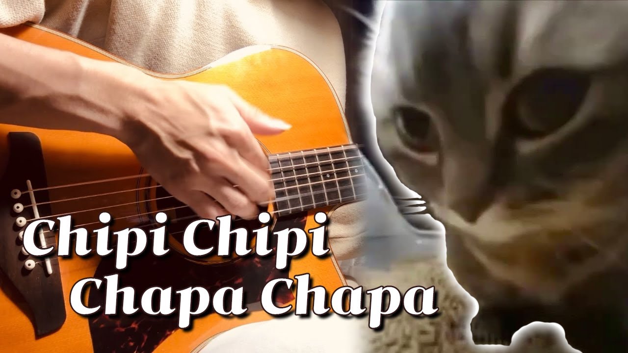 Chipi Chipi Chapa Chapa Cat on the Guitar│치피치피 차파차파 노래 기타 - YouTube