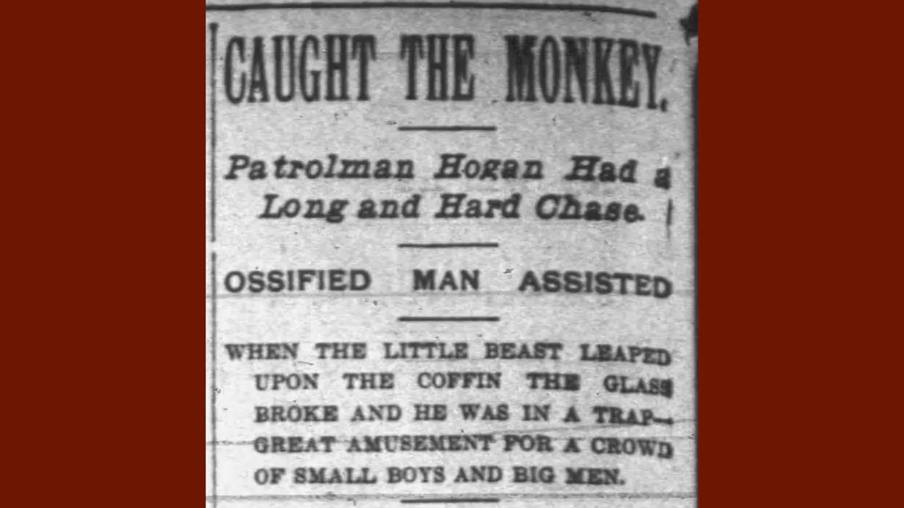 Ossified Man Aids In Monkey Arrest - YouTube
