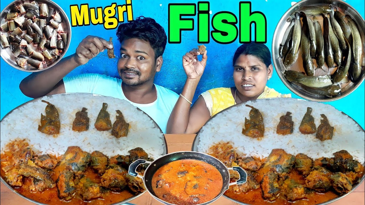 eating show | Desi mugri fish curry Cooking | fish curry rice eating ...