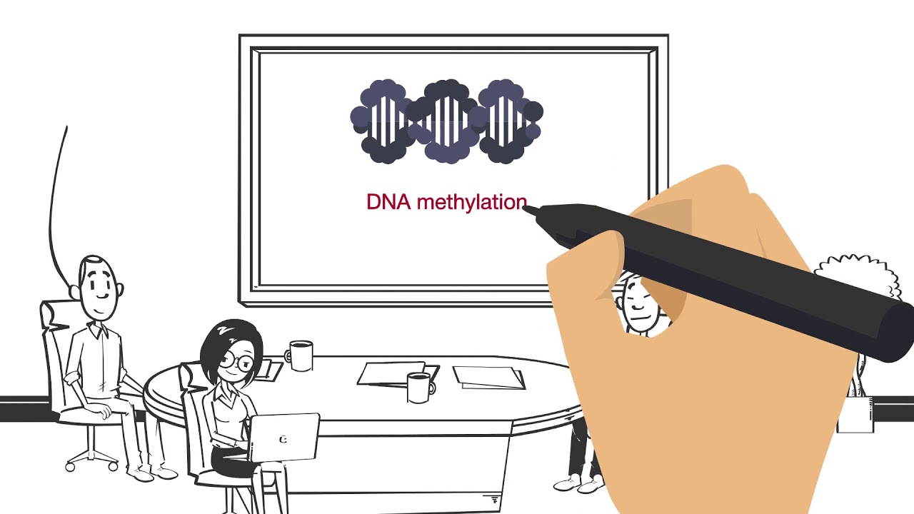 DNA Methylation - YouTube