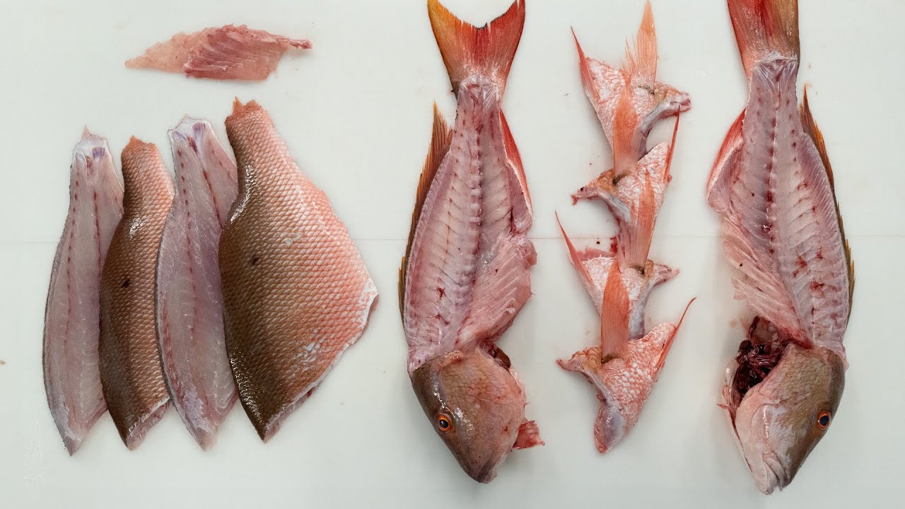 Queen Snapper Fillet