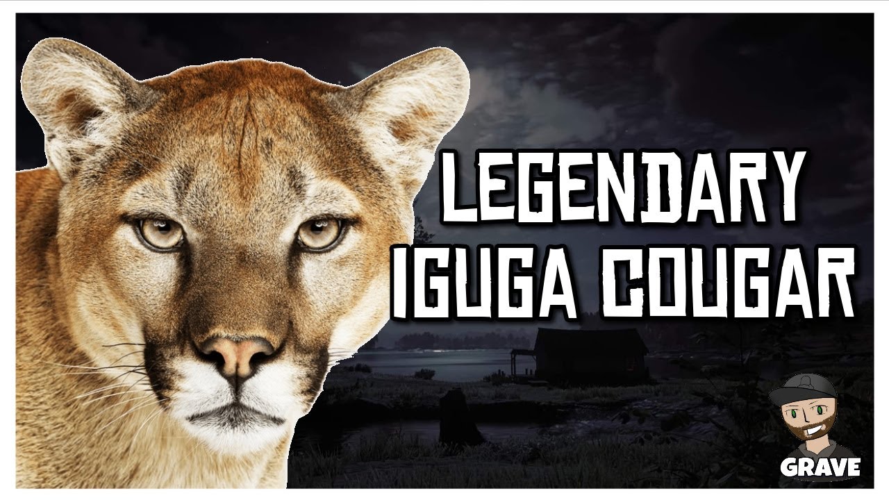 Legendary Iguga Cougar Location | Red Dead Online - YouTube