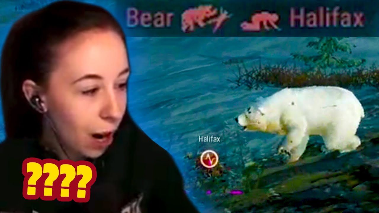 BEARS IN PUBG?! 😂 - YouTube
