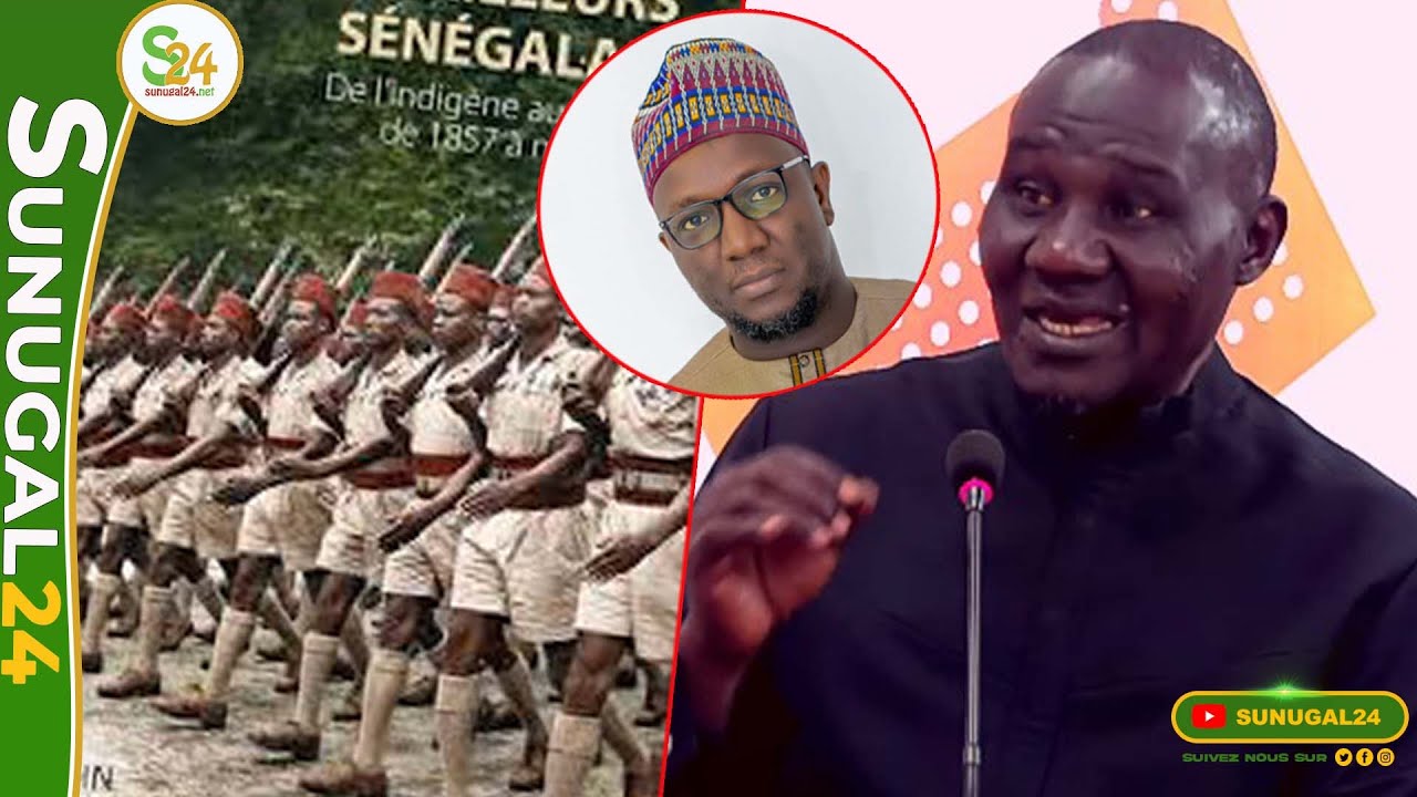 Mr Welle: Vérités surprenantes sur l'histoire des Tirailleurs et leur ...