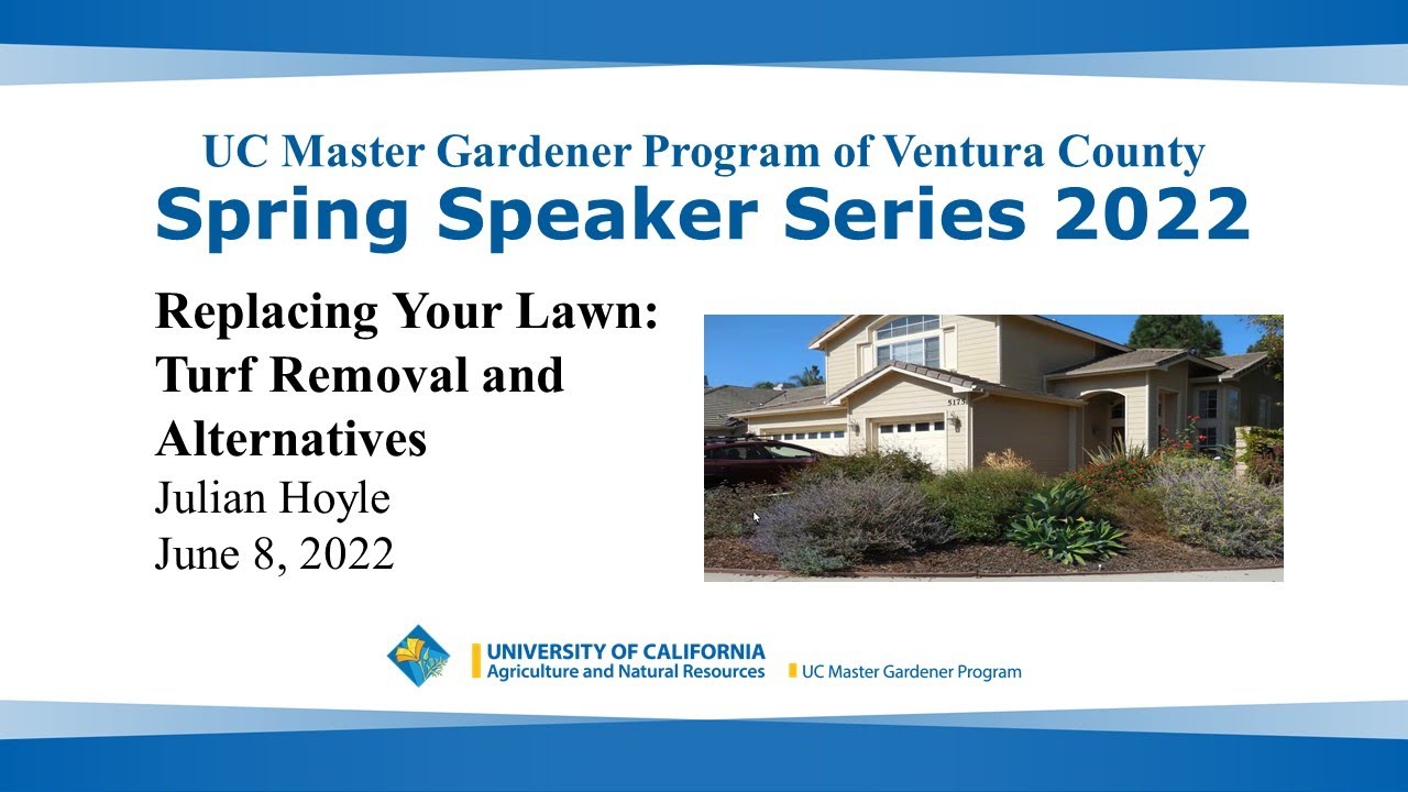 Replacing Your Lawn: Turf Removal and Alternatives - YouTube