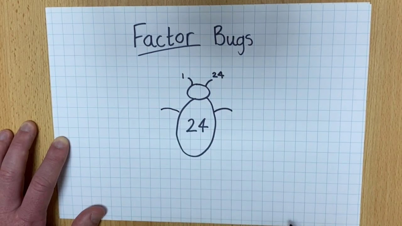 Factor bugs - a great way to find factors, prime numbers and square ...