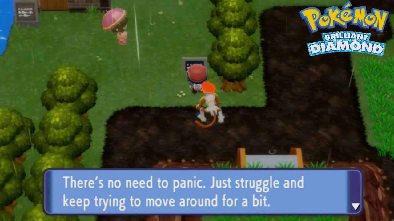 Pokémon Brilliant Diamond - It's Raining on Route 212 & To Many Mud ...