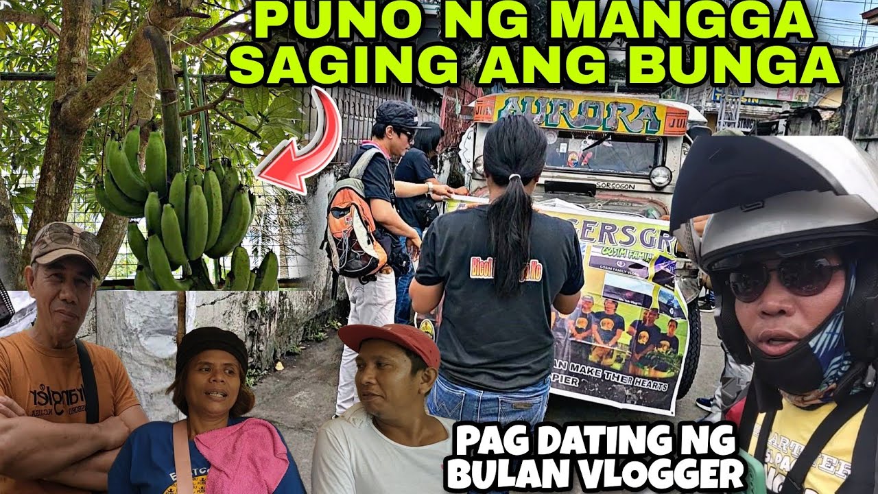 PUNONG MANGGA SAGING ANG BUNGA|ANG BONDING SA AMING PAG DATING PILAR ...