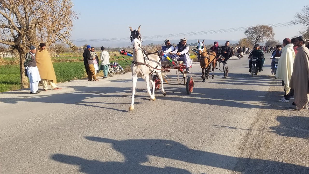 Apna ghorghushti hazro#youtube - YouTube