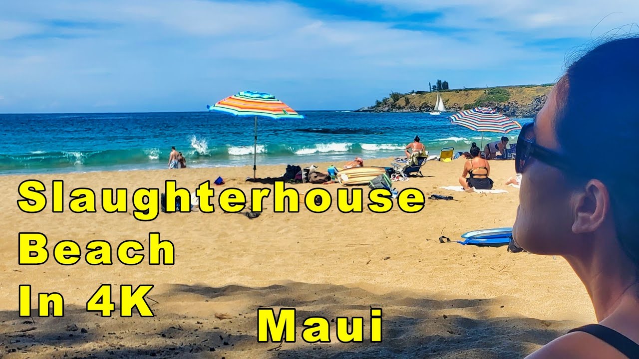 Slaughterhouse Beach In 4K Maui. Honolua Rainforest. Best Snorkel Spot ...