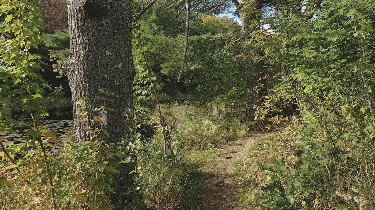 Following the Trail of a Missing Hiker - YouTube