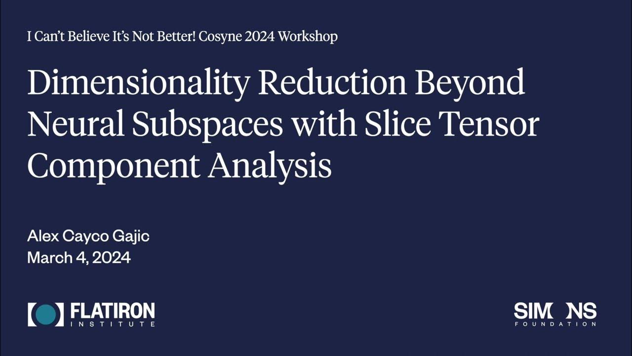 COSYNE 2024 Workshop: I Can’t Believe It’s Not Better! - Alex Cayco Gajic (March 4, 2024) - YouTube